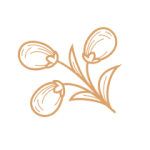 QVEVRI